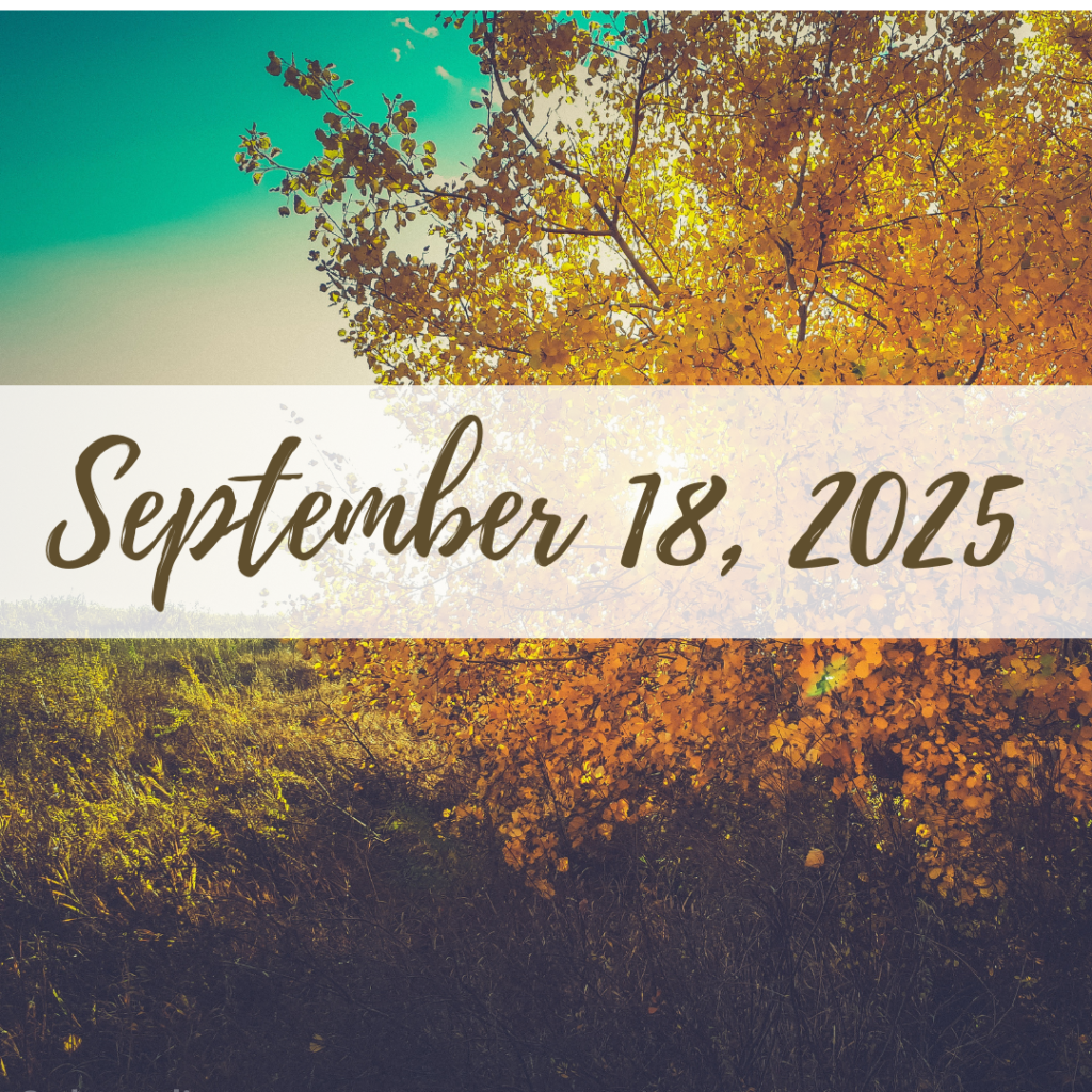 Webinars - CAME - ACEM