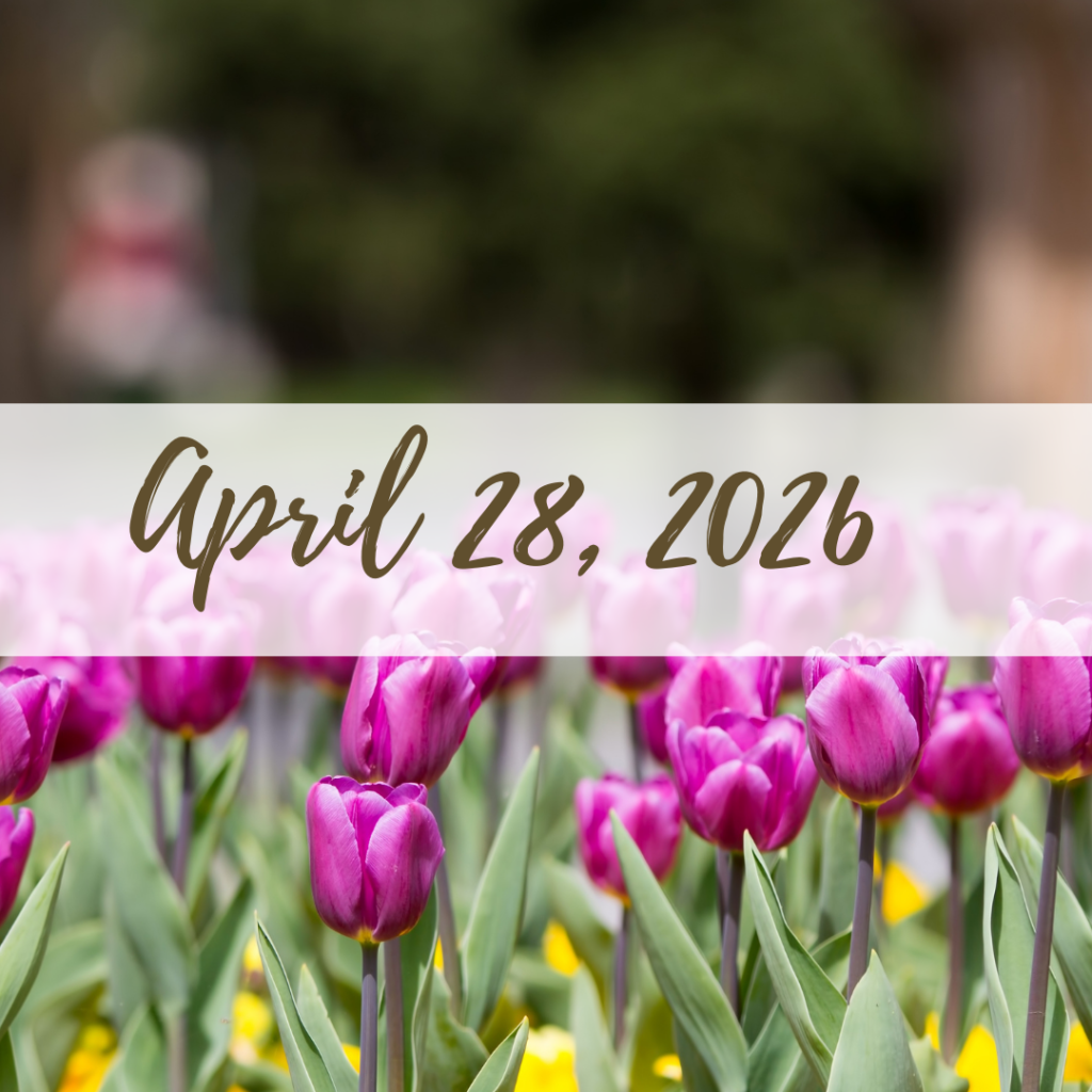 Webinars - CAME - ACEM