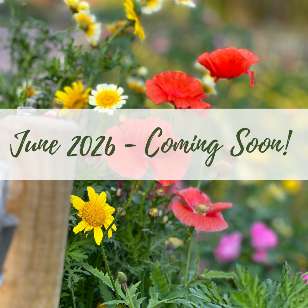 Webinars - CAME - ACEM