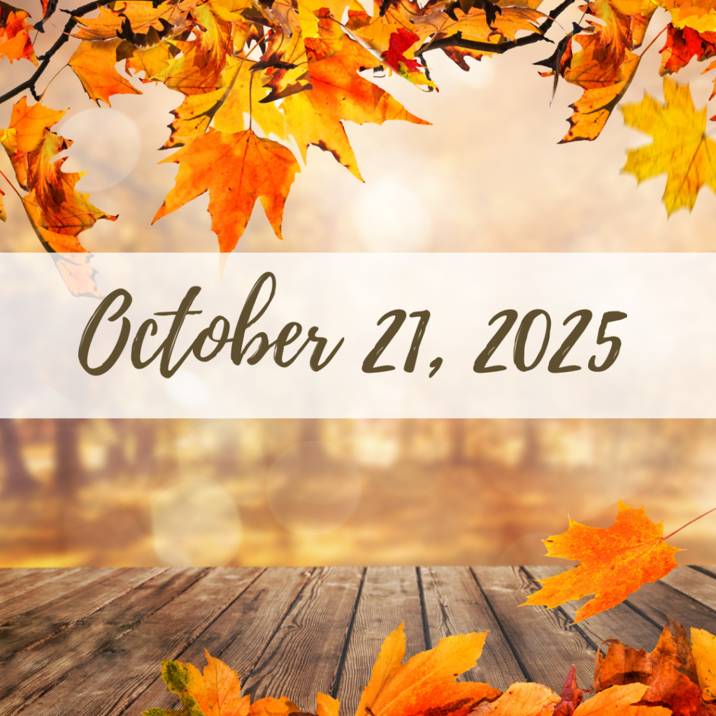 Webinars - CAME - ACEM